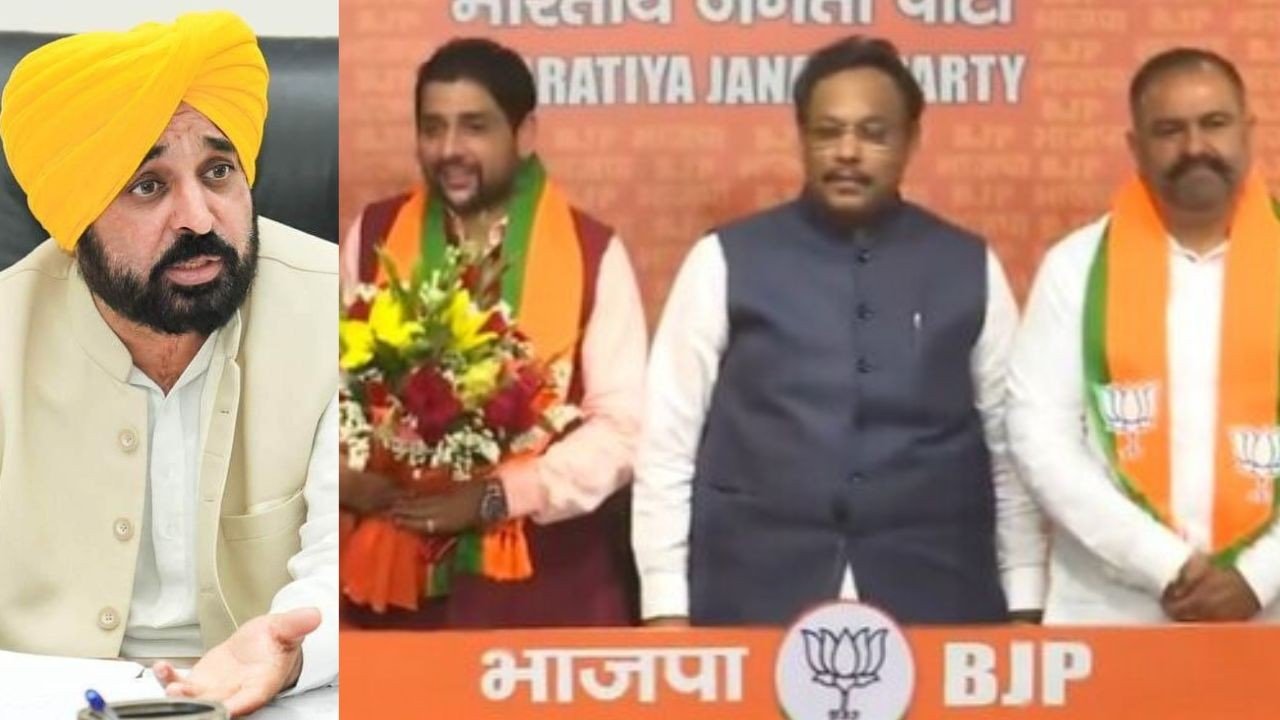 Double trouble for AAP in Punjab: MP Sushil Kumar Rinku, MLA Sheetal ...